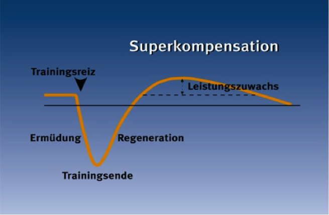 Superkompensation - Leistungssteigerung - Sportbenzin BlogSportnahrung ...